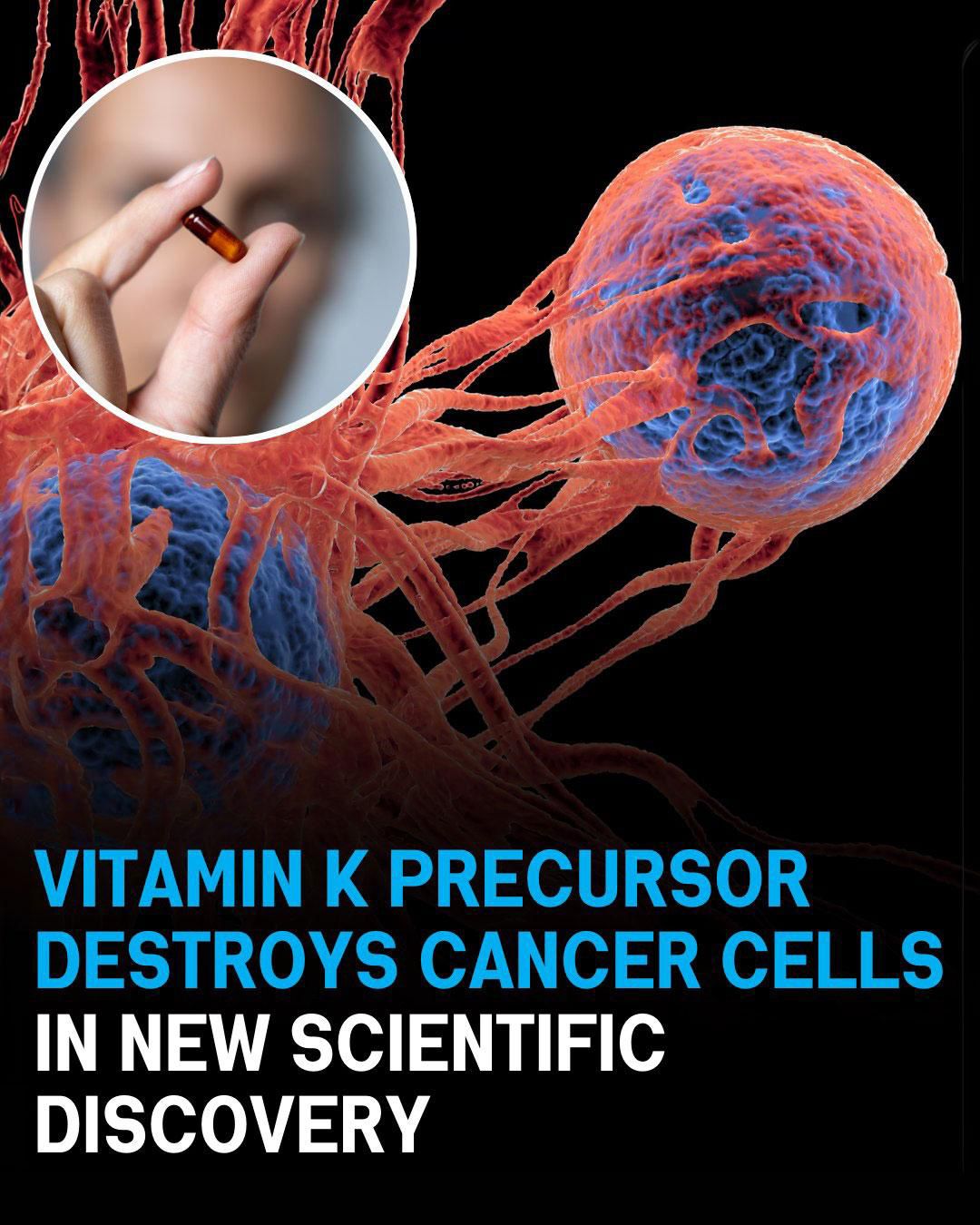 Vitamin K Precursor Found to Target and Destroy Cancer Cells in Latest ...